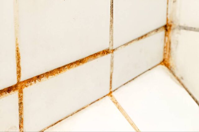 Epoxy Grout | Grouting Guide Dream Vinyl Flooring